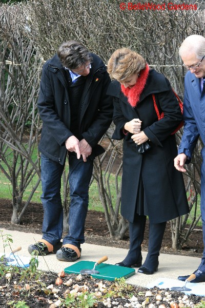 BelleWood-Gardens - Diary