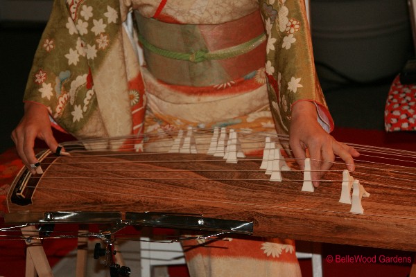 BelleWood-Gardens - Diary