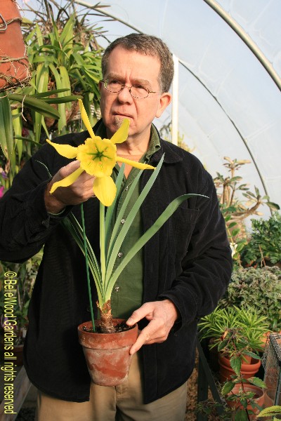 BelleWood-Gardens - Diary