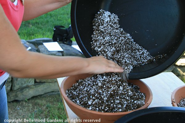 BelleWood-Gardens - Diary