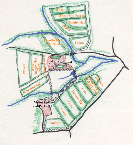 BelleWood-Gardens - Diary