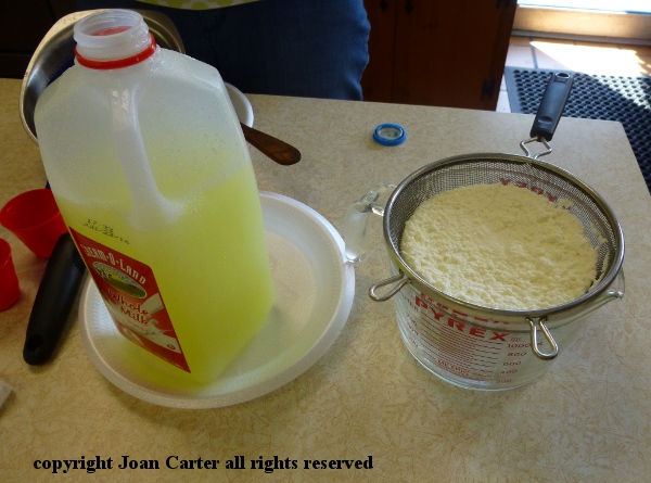 BelleWood-Gardens - Diary