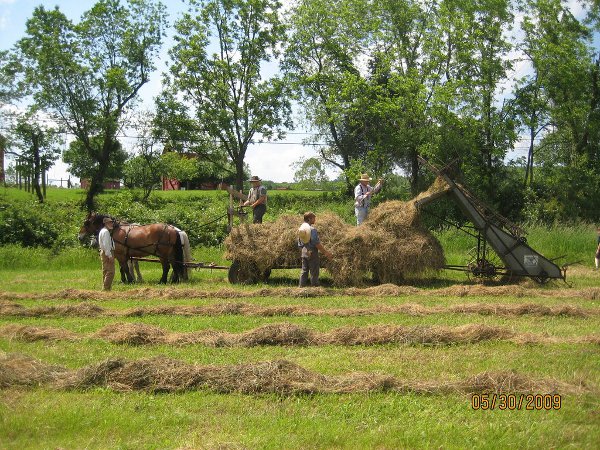 BelleWood-Gardens - Diary