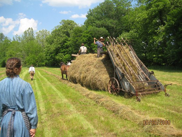 BelleWood-Gardens - Diary