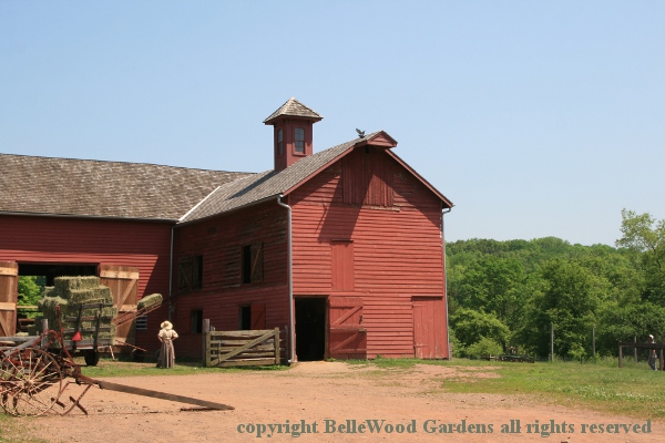 BelleWood-Gardens - Diary