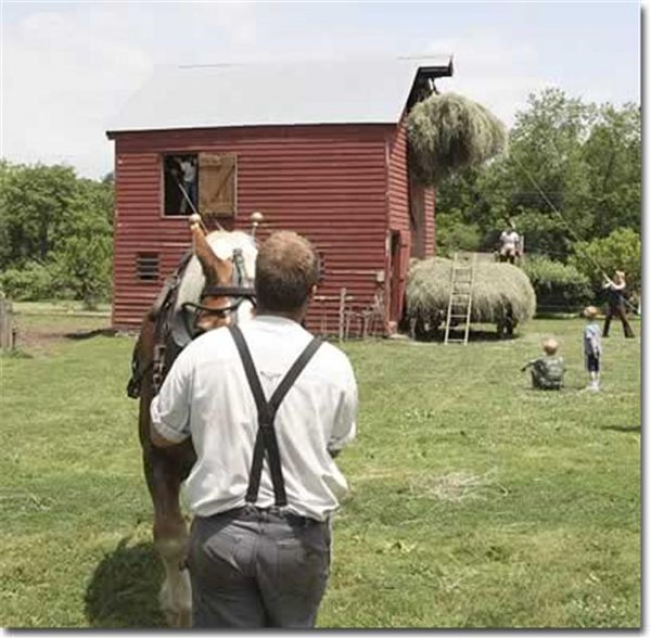 BelleWood-Gardens - Diary